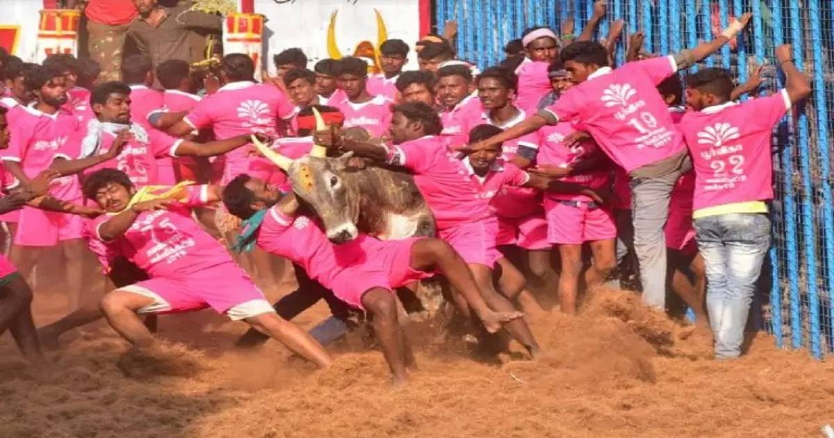 அவனியாபுரம் ஜல்லிக்கட்டு.... 16 பேர் காயம்..!! - Seithipunal